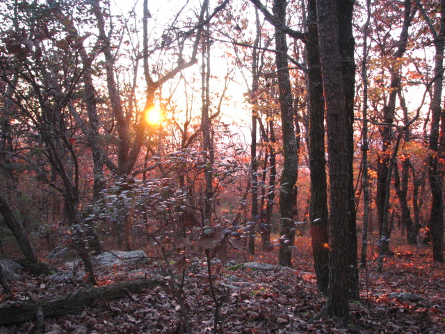 Morning Has Broken – Keep Mobile Beautiful